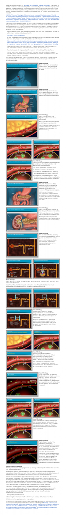 Visual Strategy: The Science Behind Type II Diabetes - VisuaLex LLC